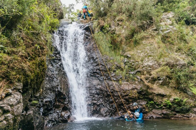 Madeira Canyoning Beginners  Easy & Fun Waterfall Adventure - Key Points