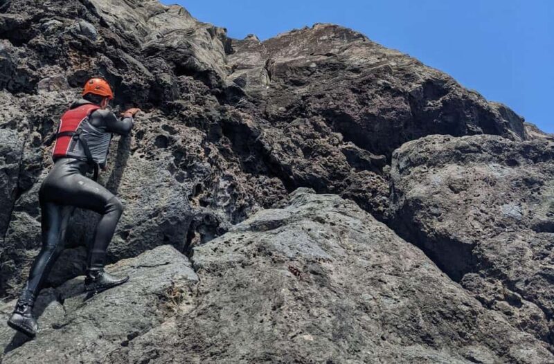 Madeira Coasteering and Cliff Jumping Thrill & Adventure - The Experience Breakdown