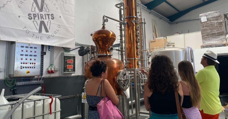 Madeira: Distilleries - An Introduction to Madeira’s Spirit Scene