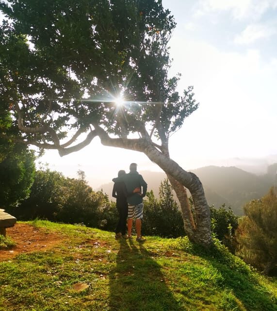 Madeira E-Buggy Adventure: 4x4 thrill & epic views! Book now - Madeira E-Buggy Adventure: 4x4 thrill & epic views! Book now