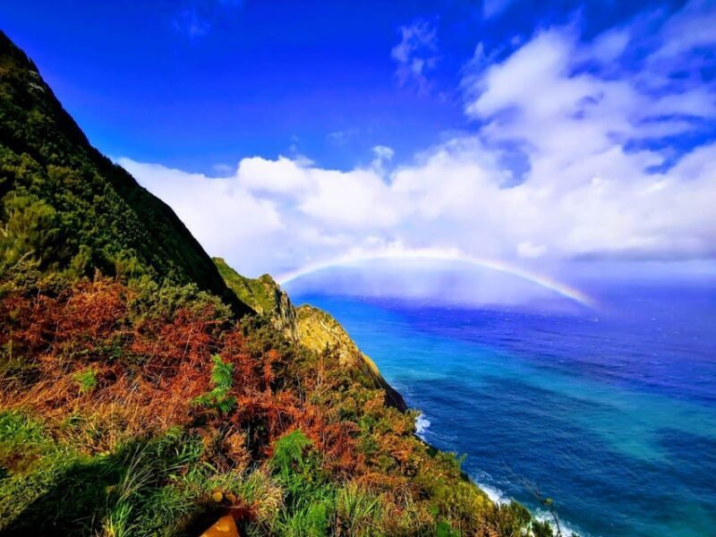 Madeira E-Buggy Adventure: 4x4 thrill & epic views! Book now - The Experience: Authenticity and Practicality