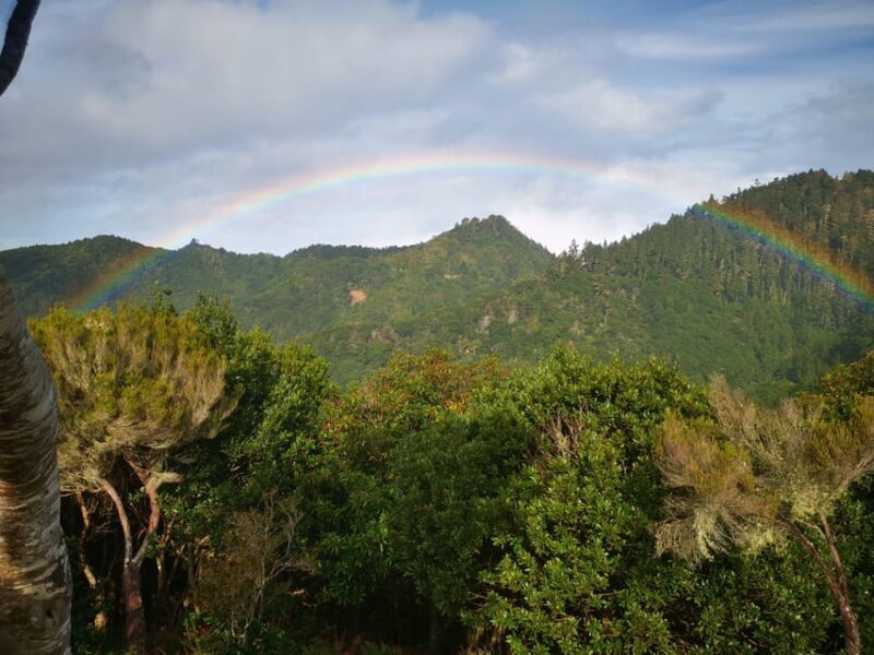 Madeira E-Buggy Adventure: 4x4 thrill & epic views! Book now - Frequently Asked Questions