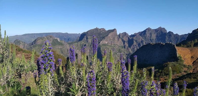 Madeira East Island Tour and Levada Walk - How the Tour Feels in Practice
