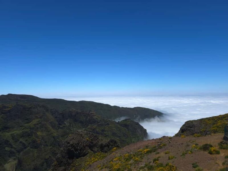 Madeira: East Island Tour with Rum Tasting - The Practicalities: How the Day Unfolds