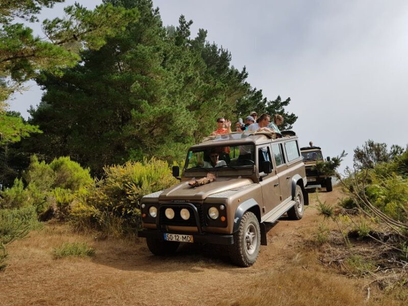 Madeira East or West Private Half-Day Tour by Open-Top Jeep - The Sum Up