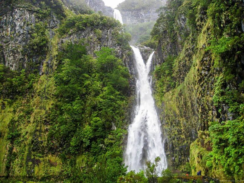 Madeira: Enjoy a Guided Levada Walk in the Rabaçal Valley - An Overview of the Rabaçal Levada Experience