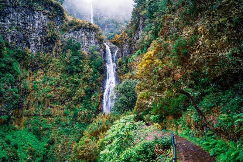 Madeira: Enjoy a Guided Levada Walk in the Rabaçal Valley - The Landscape and What You’ll Witness