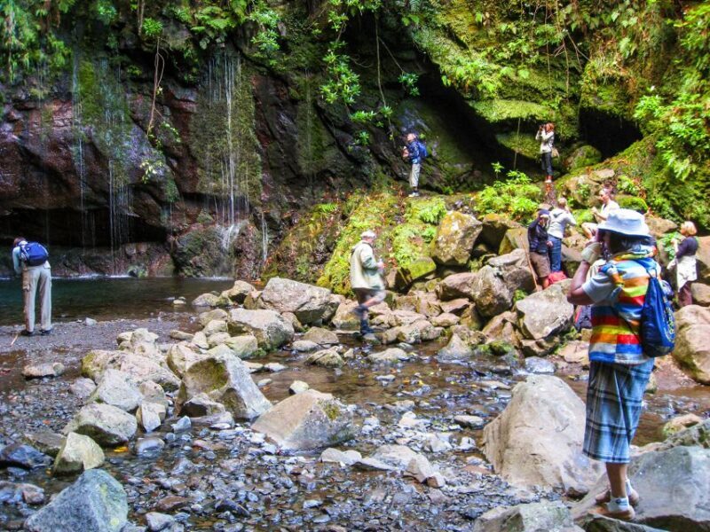 Madeira: Enjoy a Guided Levada Walk in the Rabaçal Valley - Who Will Love This Tour?