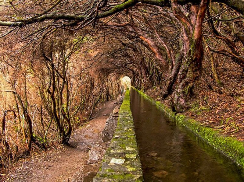 Madeira: Enjoy a Guided Levada Walk in the Rabaçal Valley - FAQ