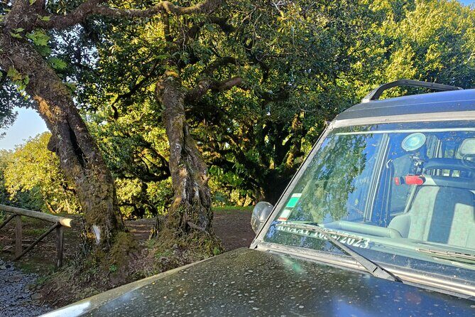 Madeira: Experiência 4WD Skywalk para Seixal Porto Moniz, Fanal - Who Will Love This Tour?