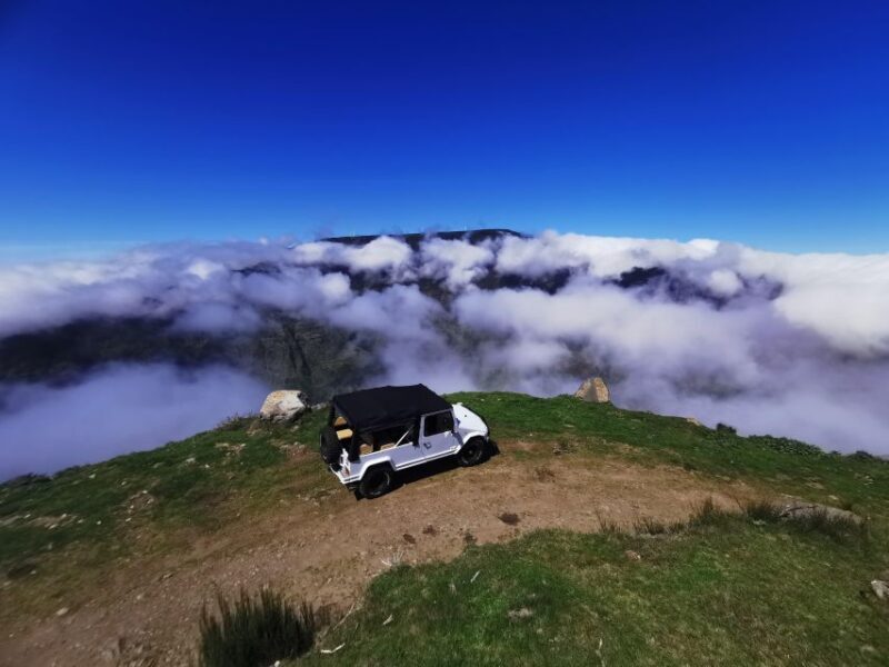 Madeira: Full-Day Jeep Tour, Natural Pools, Seixal & Fanal - Who Will Love This Tour?