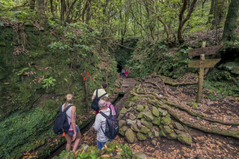 Madeira: Full-Day Laurel Forest Guided Walking Tour - FAQ