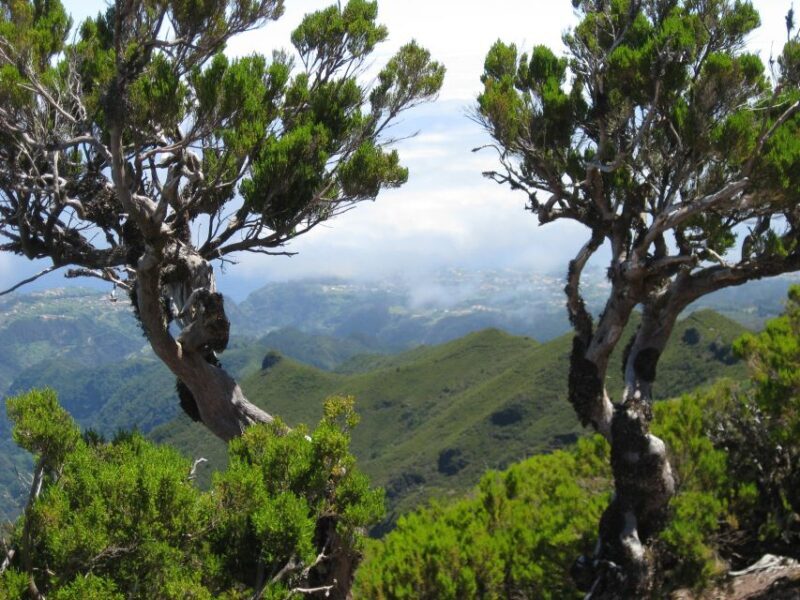 Madeira: Full-Day Pico Ruivo / Achada do Teixeira Walk - Is This Tour Worth It?