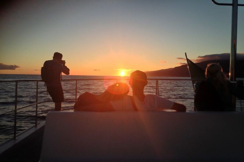 Madeira: Funchal Sunset Tour by Catamaran - Marine Life and Wildlife Encounters