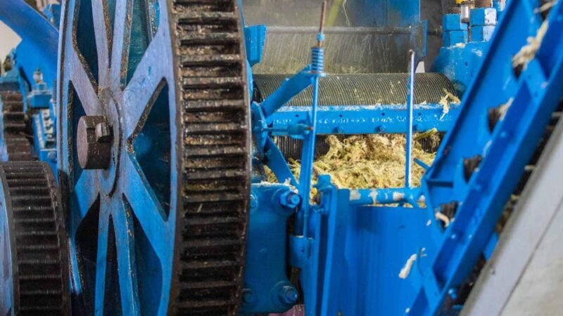 Madeira Funchal:East Tour Pico Arieiro & Santana&Laurissilva - FAQ