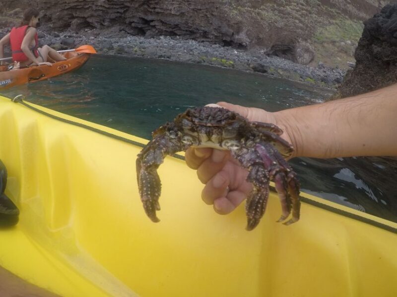 Madeira: Garajau Nature Reserve Kayak and Snorkel Tour - FAQs