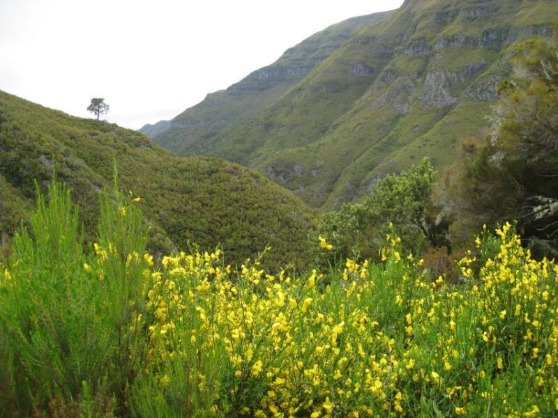 Madeira: Guided Full-Day Rabaçal Walk - Final thoughts