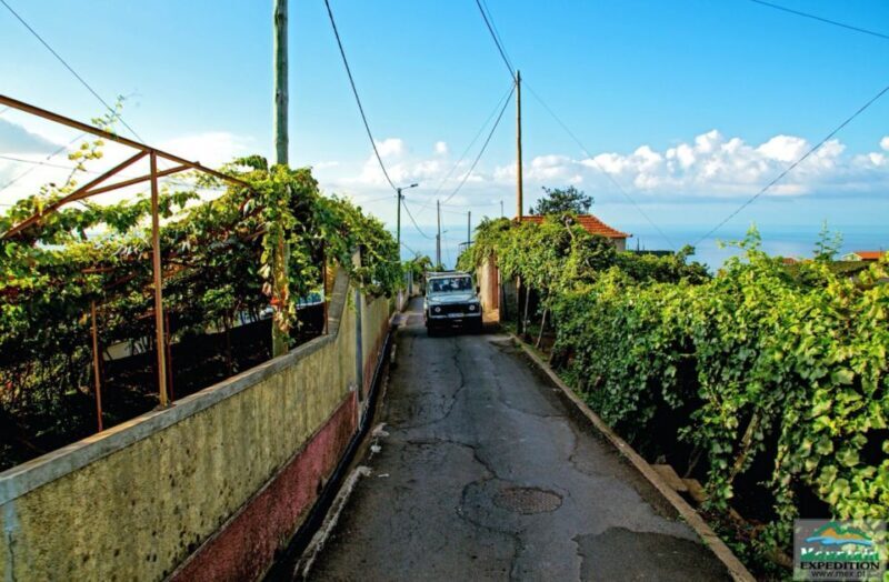 Madeira: Half-Day Nun's Valley and Sea Cliff Tour - An In-Depth Look at the Tour