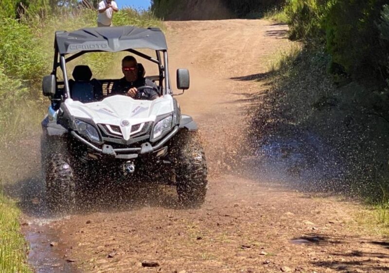 Madeira: Half-Day Off-Road Buggy Tour - Pricing and Value: Is It Worth It?