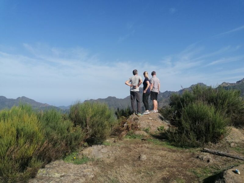 Madeira: Half-Day Off-Road Buggy Tour - Practical Tips for Enjoying the Tour