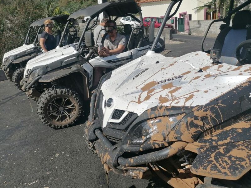 Madeira: Half-Day Off-Road Buggy Tour - Who’s This Tour Perfect For?