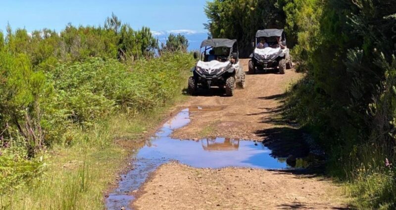 Madeira: Half-Day Off-Road Buggy Tour - FAQ