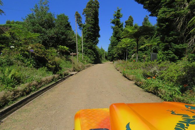 Madeira Highlights: Guided 4-Hour Tour from Funchal - Real Traveler Insights