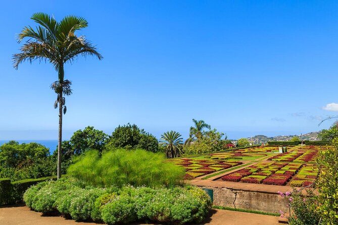 Madeira Highlights: Toboggan, Garden & Cable Car (All-Inclusive) - Madeira Highlights: Toboggan, Garden & Cable Car (All-Inclusive) - A Complete Tour Experience
