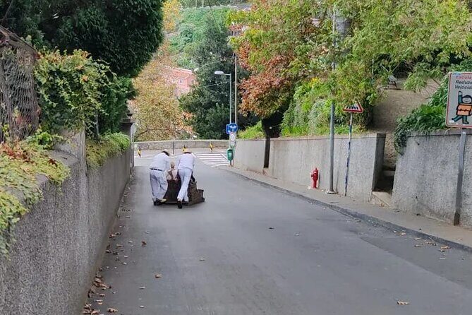 Madeira Highlights: Toboggan, Garden & Cable Car (All-Inclusive) - Authentic Experiences and Insights from Reviewers