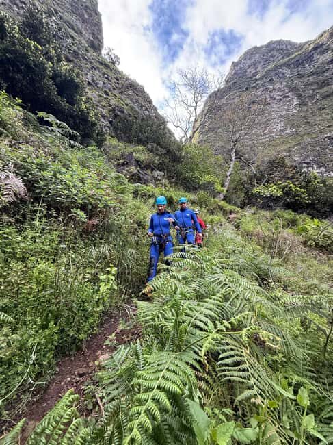 Madeira Island Canyoning Adventure - Who Will Love This Tour?