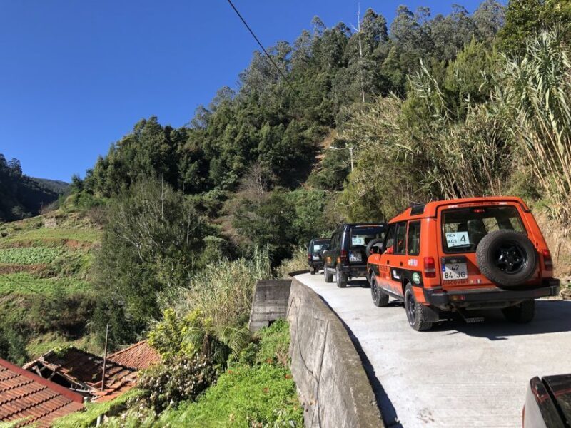 Madeira Island: Full-Day Guided Tour of Eastern Madeira - An In-Depth Look at the Eastern Madeira Tour