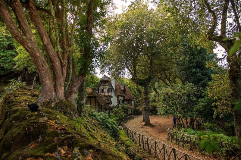 Madeira Island: Full-Day Guided Tour of Eastern Madeira - Who Should Consider This Tour?