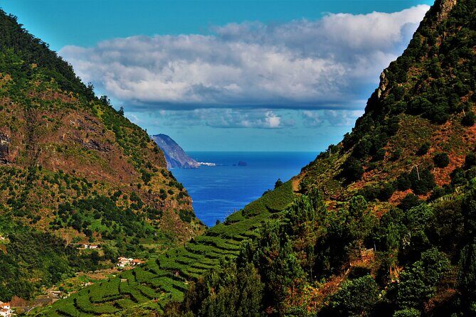 Madeira Island Private Wine Full-day Tour in all terrain vehicle - Key Points
