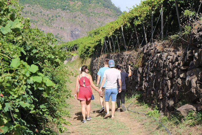 Madeira Island Private Wine Full-day Tour in all terrain vehicle - Price and Value: Is It Worth It?