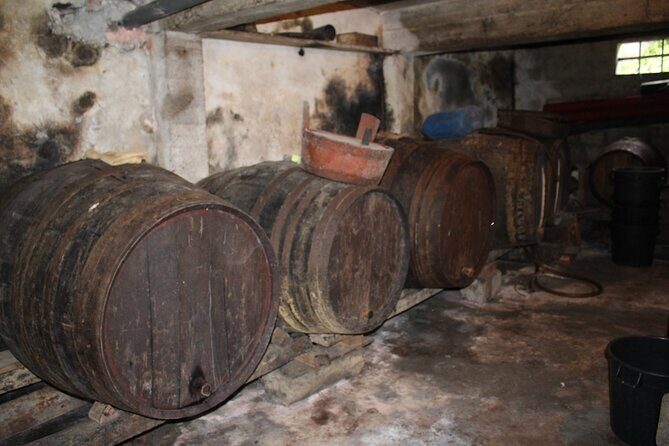 Madeira Island Private Wine Full-day Tour in all terrain vehicle - Who Is This Tour Best For?