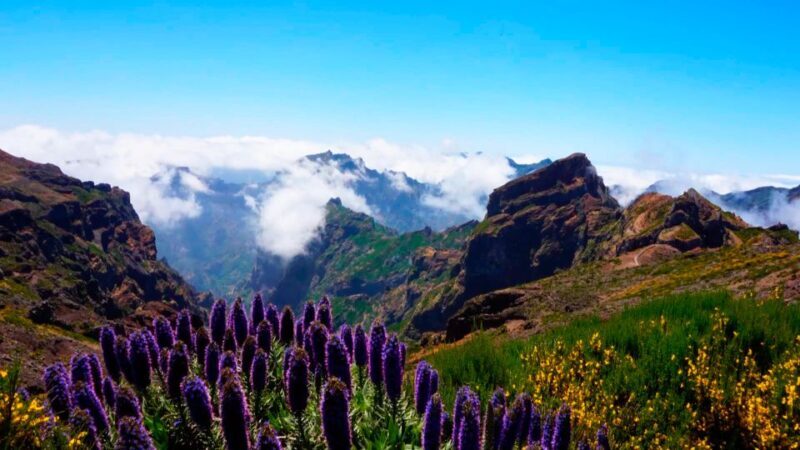 Madeira: Jeep tour Pico Areeiro, Santa Cruz and Cristo Rei - FAQ