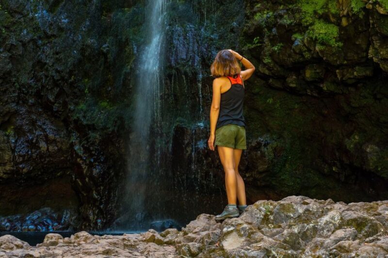Madeira: Jungle Fever Levada Caldeirao Verde Hike Santana - An In-Depth Look at the Madeira Jungle Fever Tour