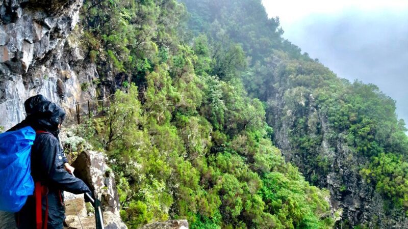 Madeira: Jungle Fever Levada Caldeirao Verde Hike Santana - FAQ