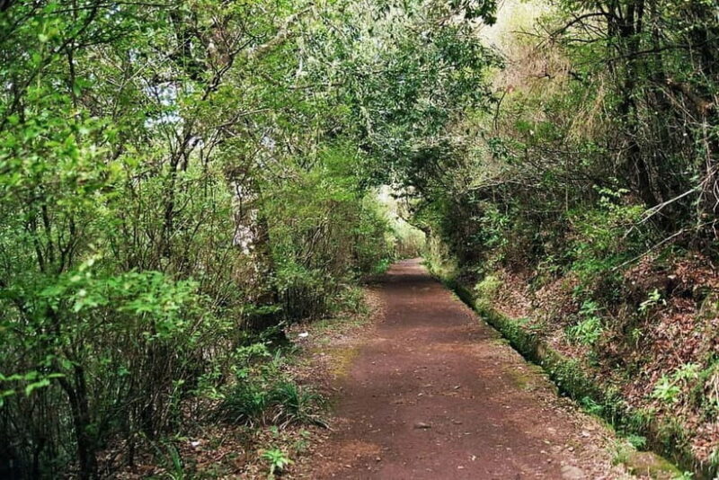 Madeira: Levada Paradise Valley Scenic Walk - Key Points