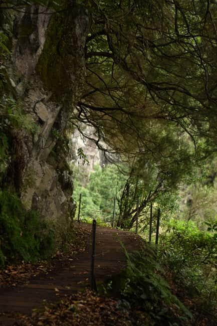 Madeira: Levada Paradise Valley Scenic Walk - Final Thoughts