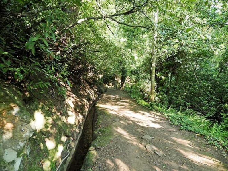 Madeira: Levada Paradise Valley Scenic Walk - FAQs