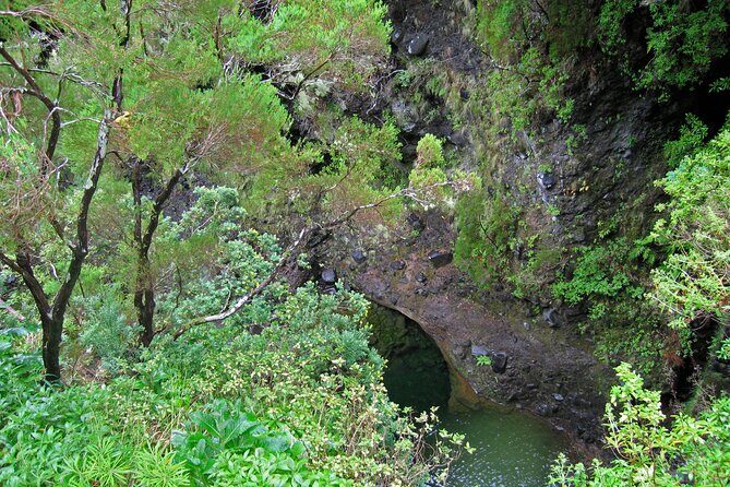 Madeira Levada Walk - Rabacal Lakes and Fountains - A Detailed Look at What Makes This Tour Special