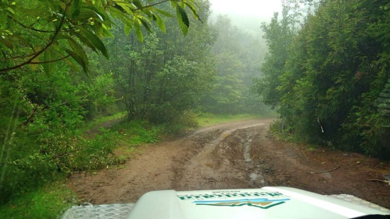 Madeira: Mini-Combo East Challenge: Jeep Safari + Levada - A Closer Look at the Tour: What to Expect