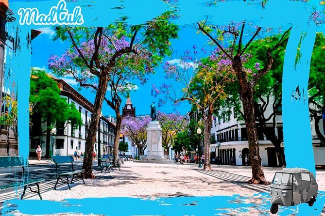 Madeira Monte Tobbogans and Old Town Tuk Tuk Tour by MadTuk - Who Should Book This Tour?