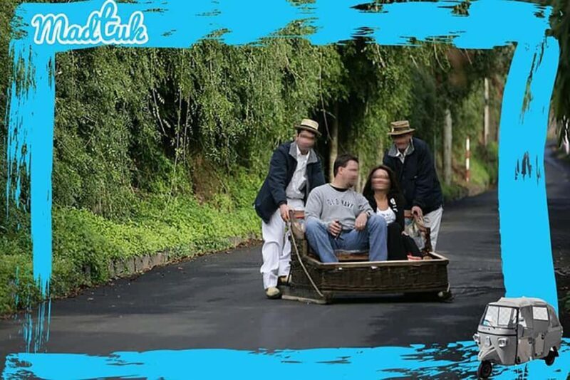 Madeira: Monte Toboggan & Old Town Guided Tuk Tour by MadTuk - In-Depth Breakdown of the Itinerary