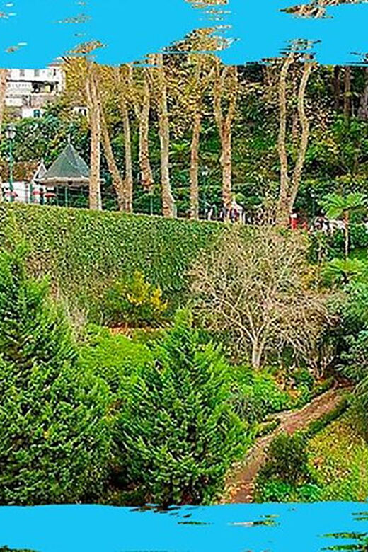 Madeira: Monte Toboggan & Old Town Guided Tuk Tour by MadTuk - Authentic Insights from Reviewers