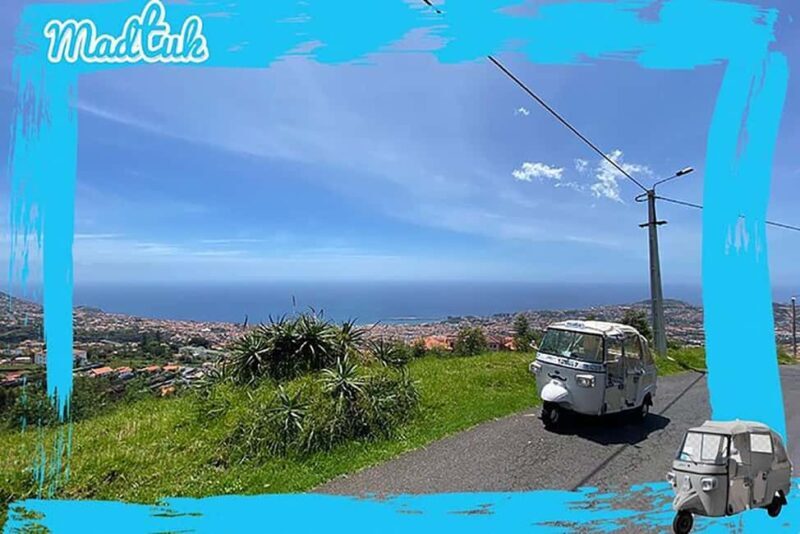 Madeira: Monte Toboggan & Old Town Guided Tuk Tour by MadTuk - The Sum Up