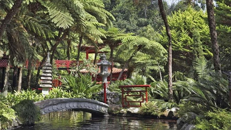 Madeira: Monte Tropical Garden + Old Town Tuk Tour by MadTuk - Madeira: Monte Tropical Garden + Old Town Tuk Tour by MadTuk