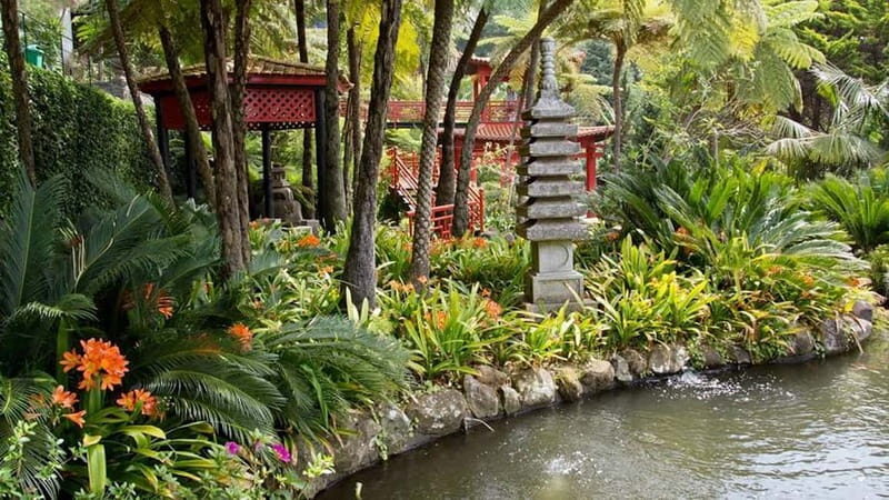 Madeira: Monte Tropical Garden + Old Town Tuk Tour by MadTuk - Key Points