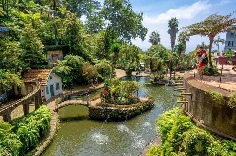 Madeira: Monte Tropical Garden + Old Town Tuk Tour by MadTuk - Who Would Love This Tour?